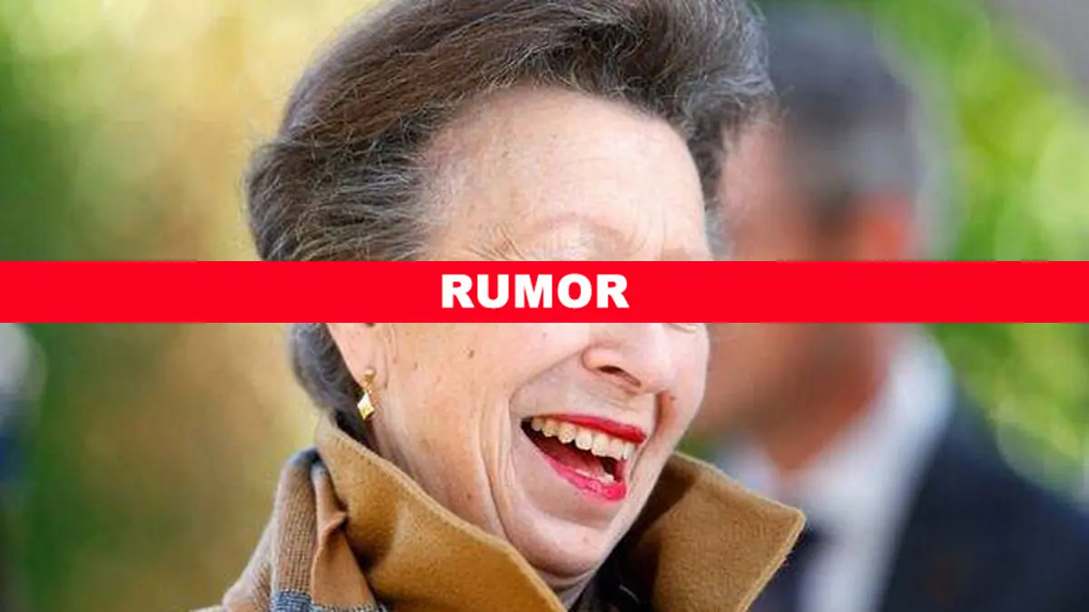 Fact Check: Princess Anne The Monarchy's Unsung Pillar of Duty